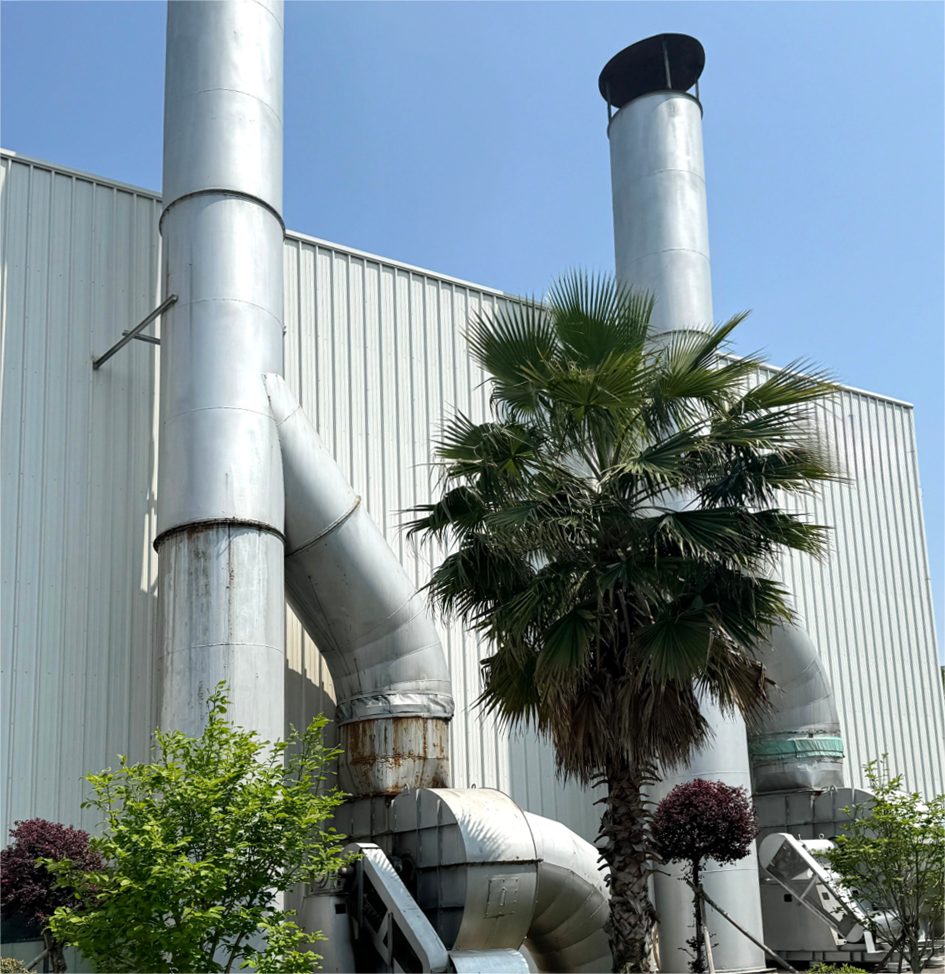 Cooking with Chef Power™: A Symphony of Taste in Every Bite!